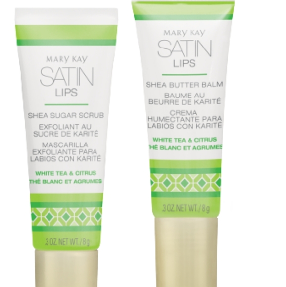 Mary Kay | Skincare | Mary Kay Satin Lips Kit | Poshmark